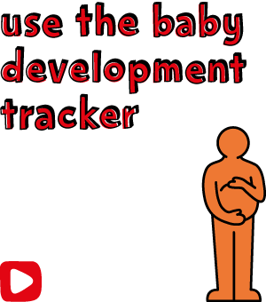 Healthy4Baby | Baby development tracker